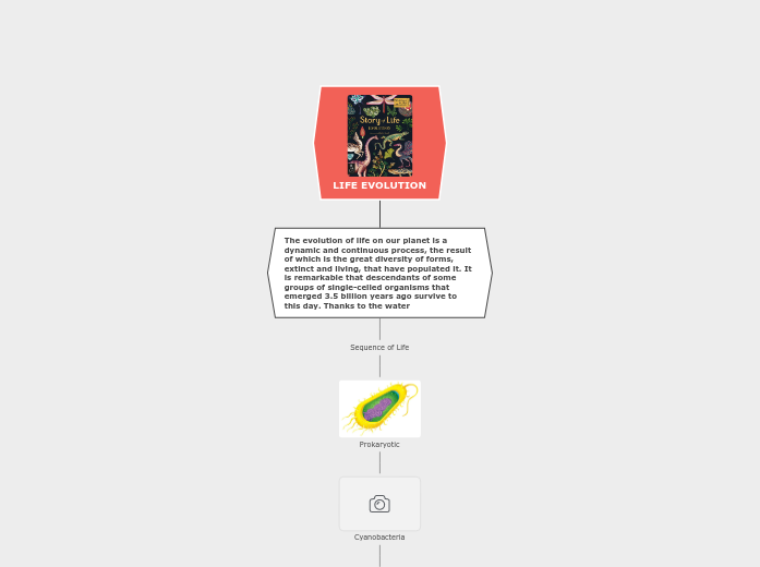 Life Evolution Mind Map 7189